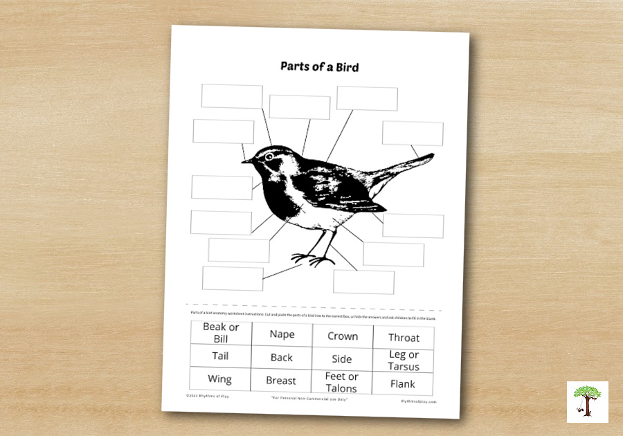 Bird Watching Printables